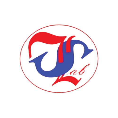 Sapiens IT Lab – Expert End-to-End IT Services